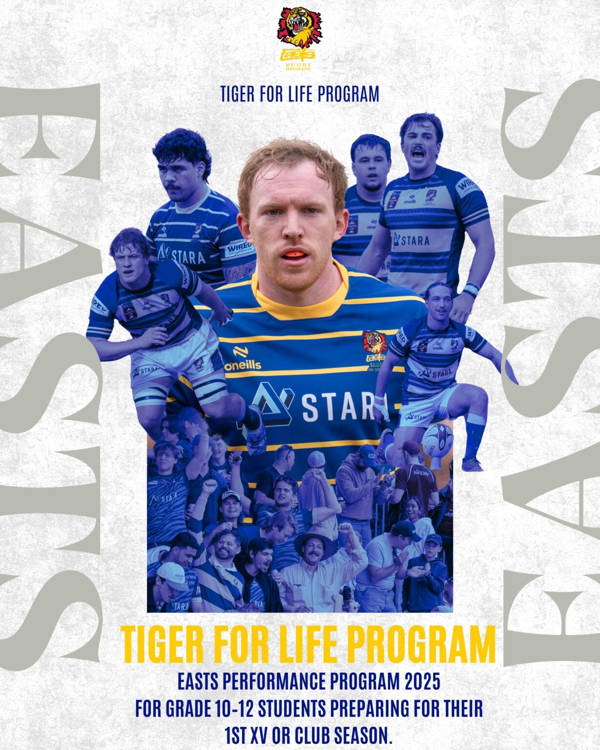Easts Rugby Union – Tiger for Life