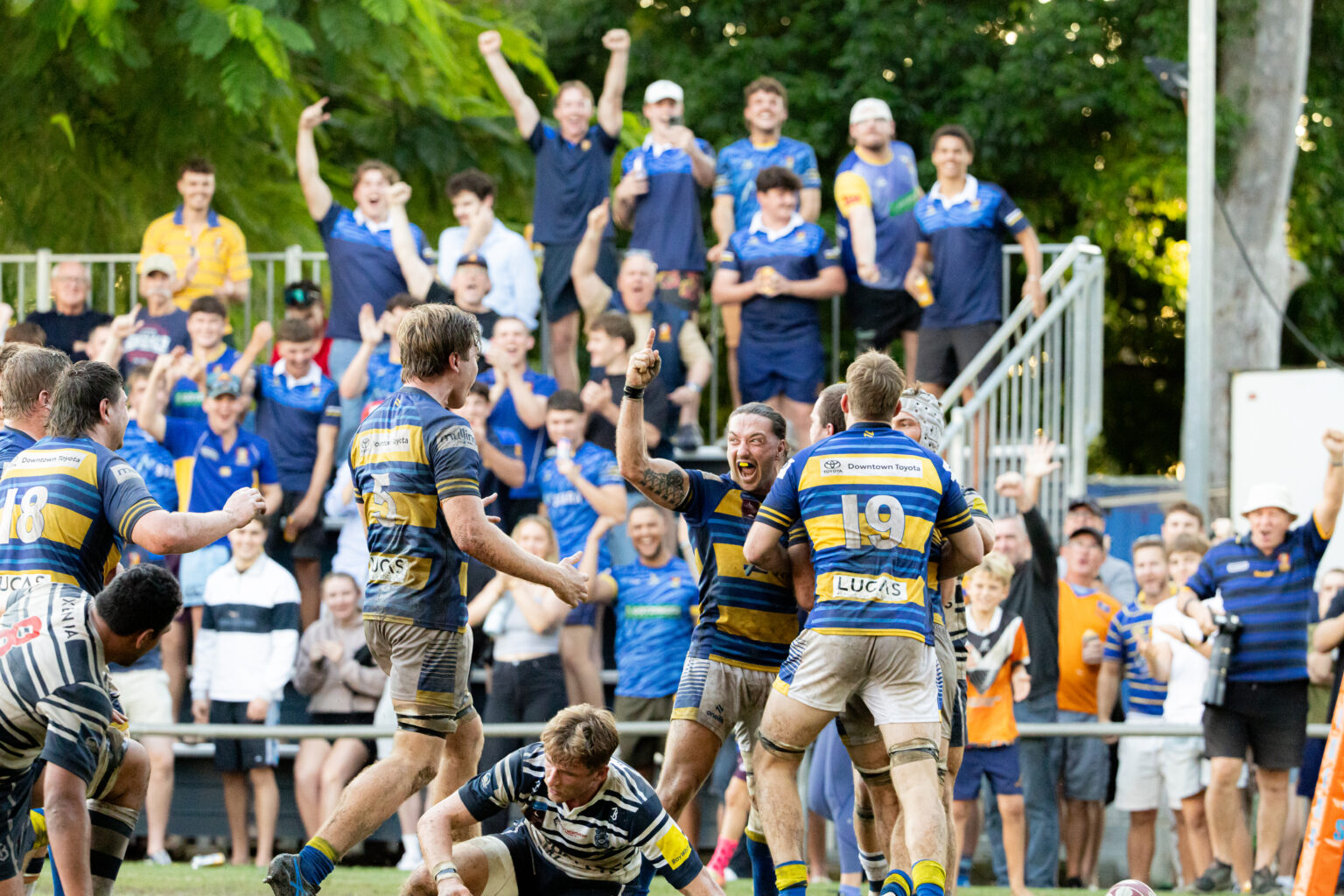 Junior Tigers – Easts Rugby Union